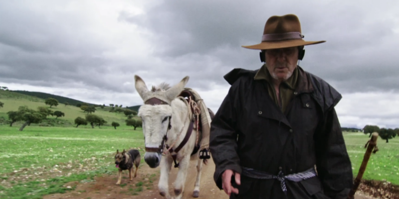 Donkeyote - film review