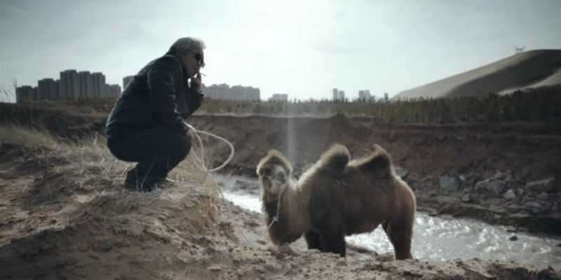 Old Beast - film review